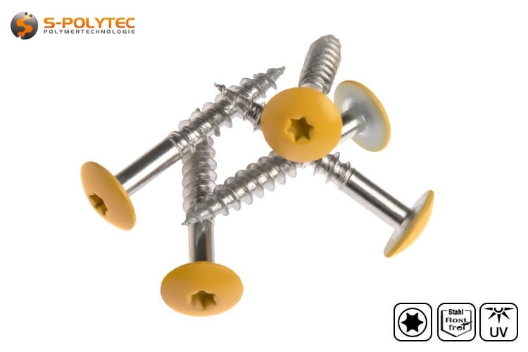 Facade screw Gold Yellow (A04.1.7) - Silk-glossy