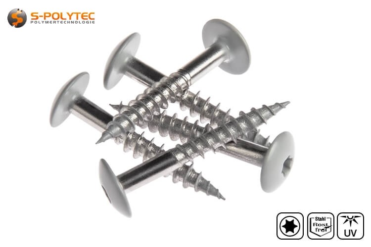 Facade screw Silver Grey (A03.4.0) - Silk-glossy