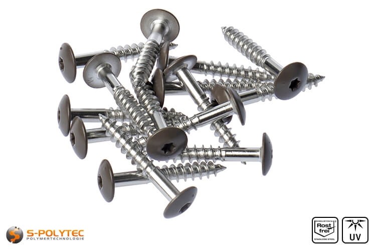 HPL screws brown (for wood decors) at low prices | S-Polytec